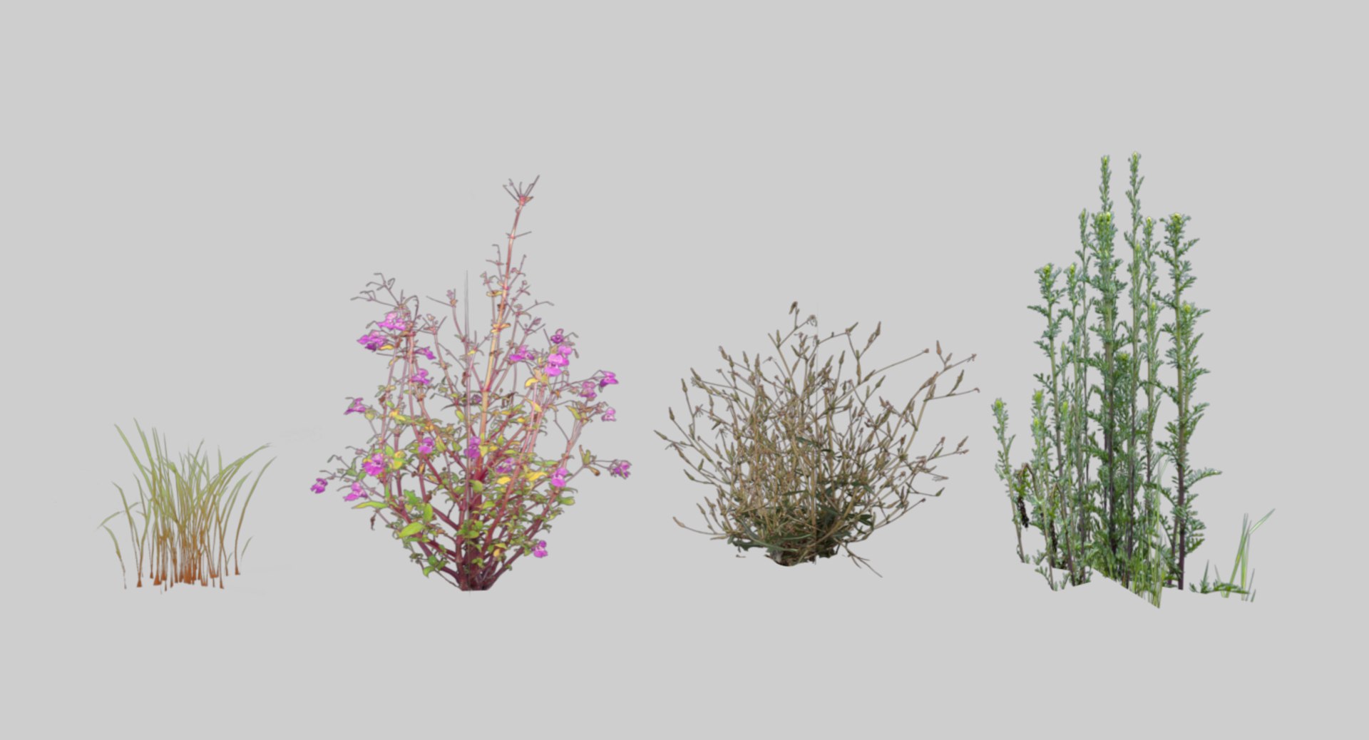 3D Low-poly Plants Model - TurboSquid 1288504