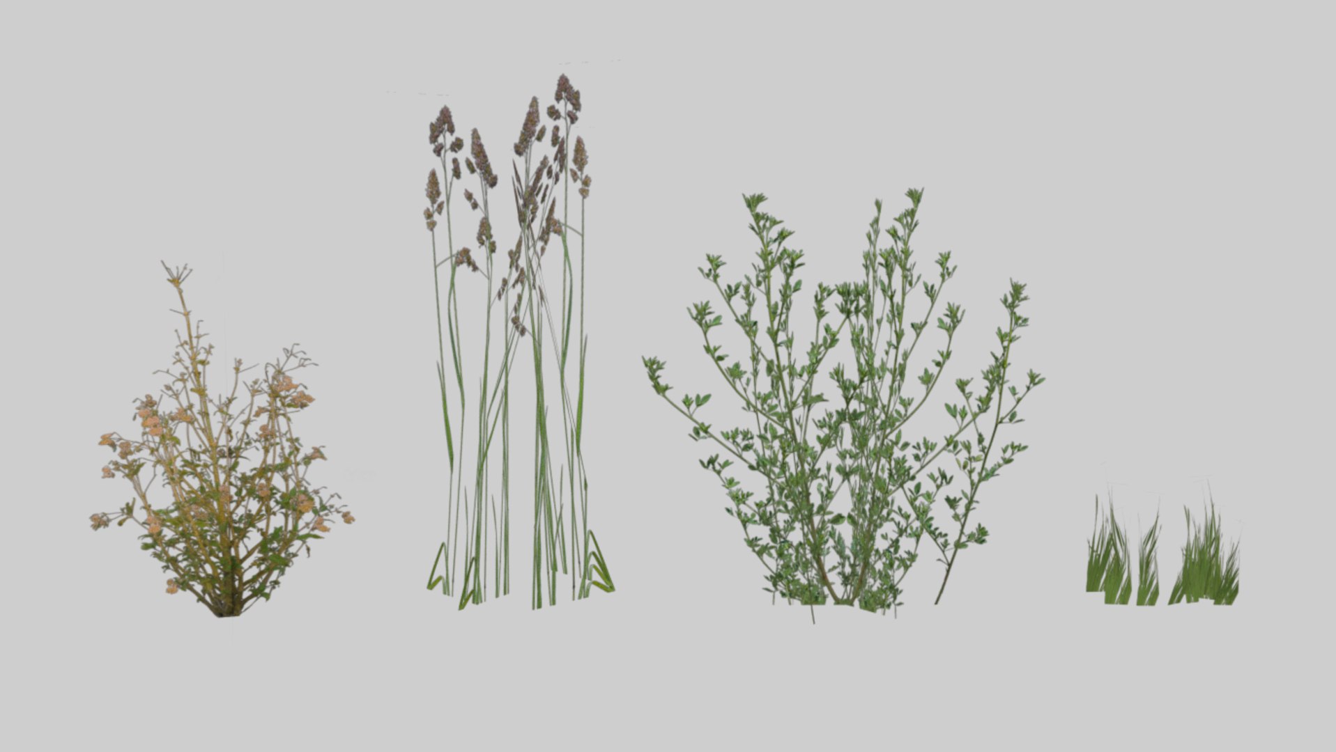 3D Low-poly Plants Model - TurboSquid 1288504