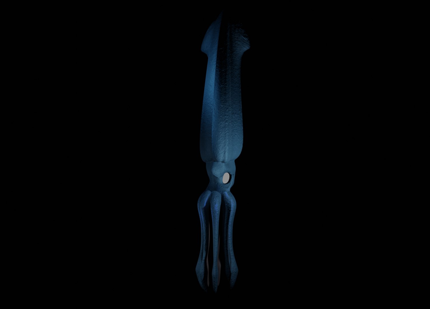3D Giant Squid - TurboSquid 1541849