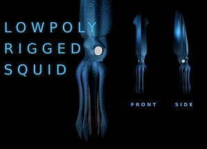 Blender Squid Models | TurboSquid