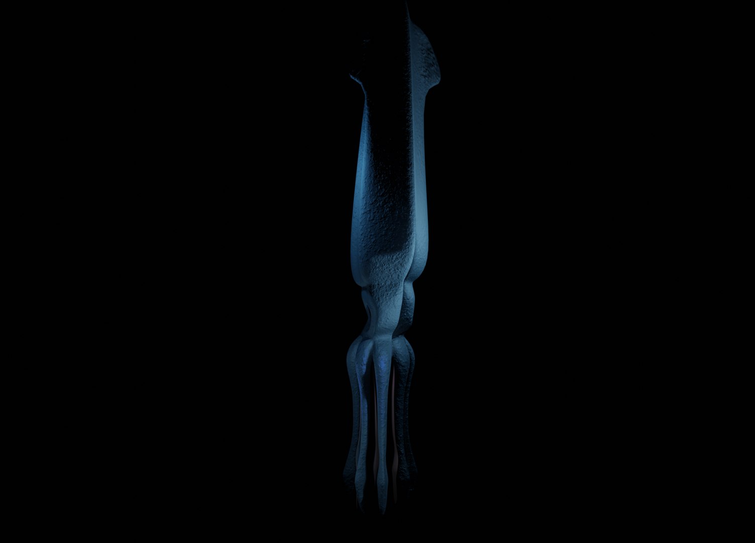 3D Giant Squid - TurboSquid 1541849