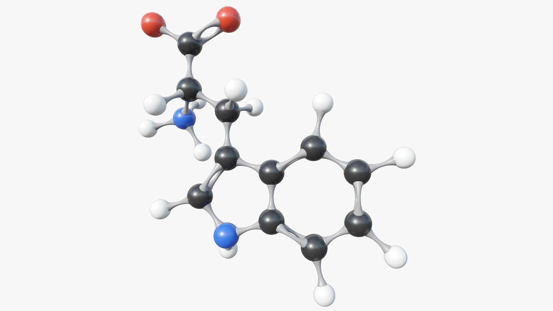 Tryptophan Zwitterion Molecule With PBR 4K 8K 3D - TurboSquid 1945648
