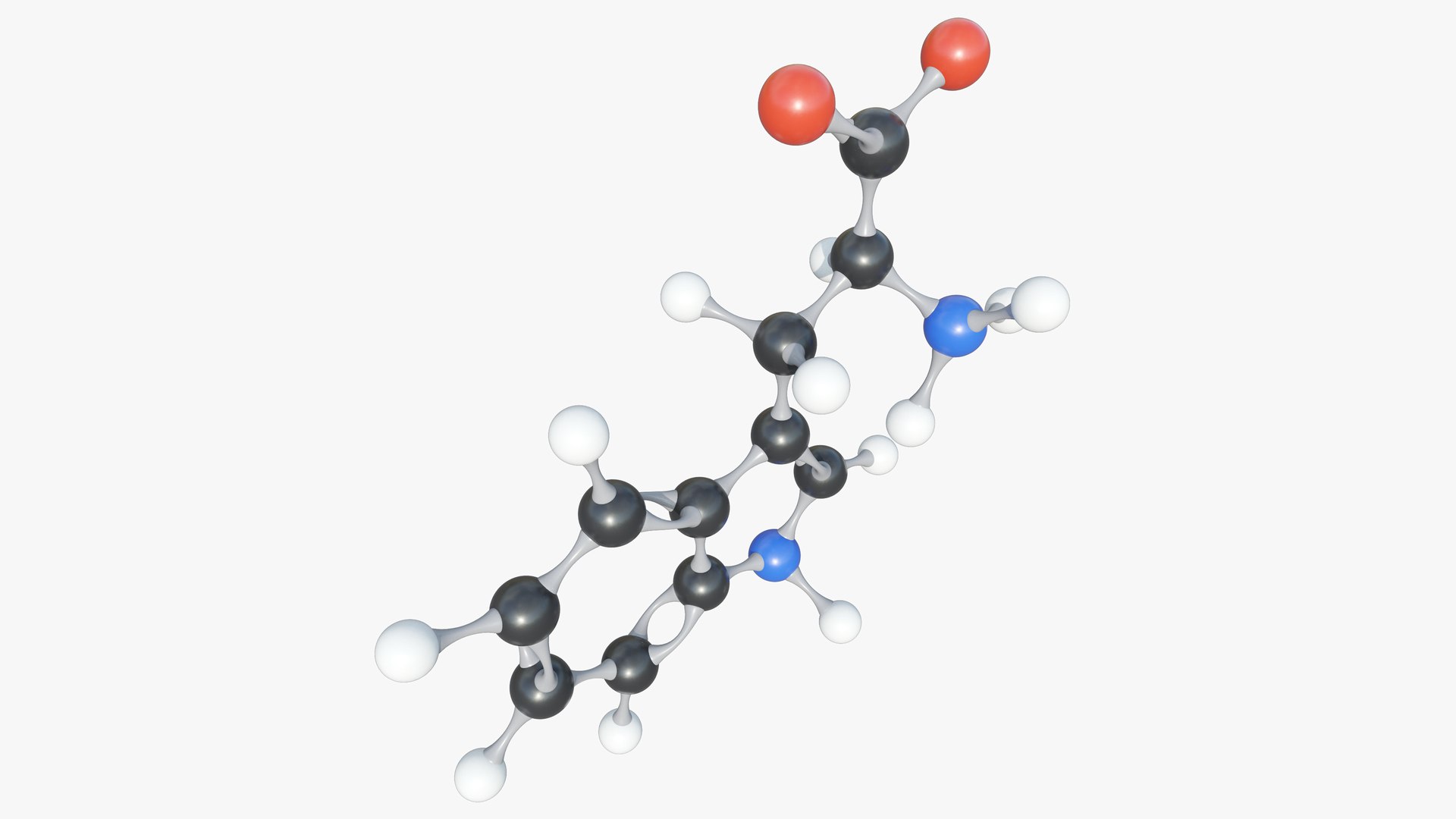 Tryptophan Zwitterion Molecule With PBR 4K 8K 3D - TurboSquid 1945648