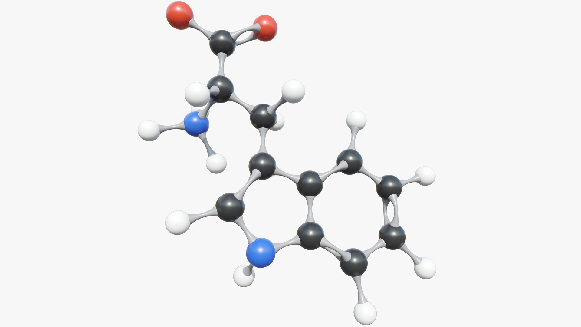Tryptophan Zwitterion Molecule With PBR 4K 8K 3D - TurboSquid 1945648