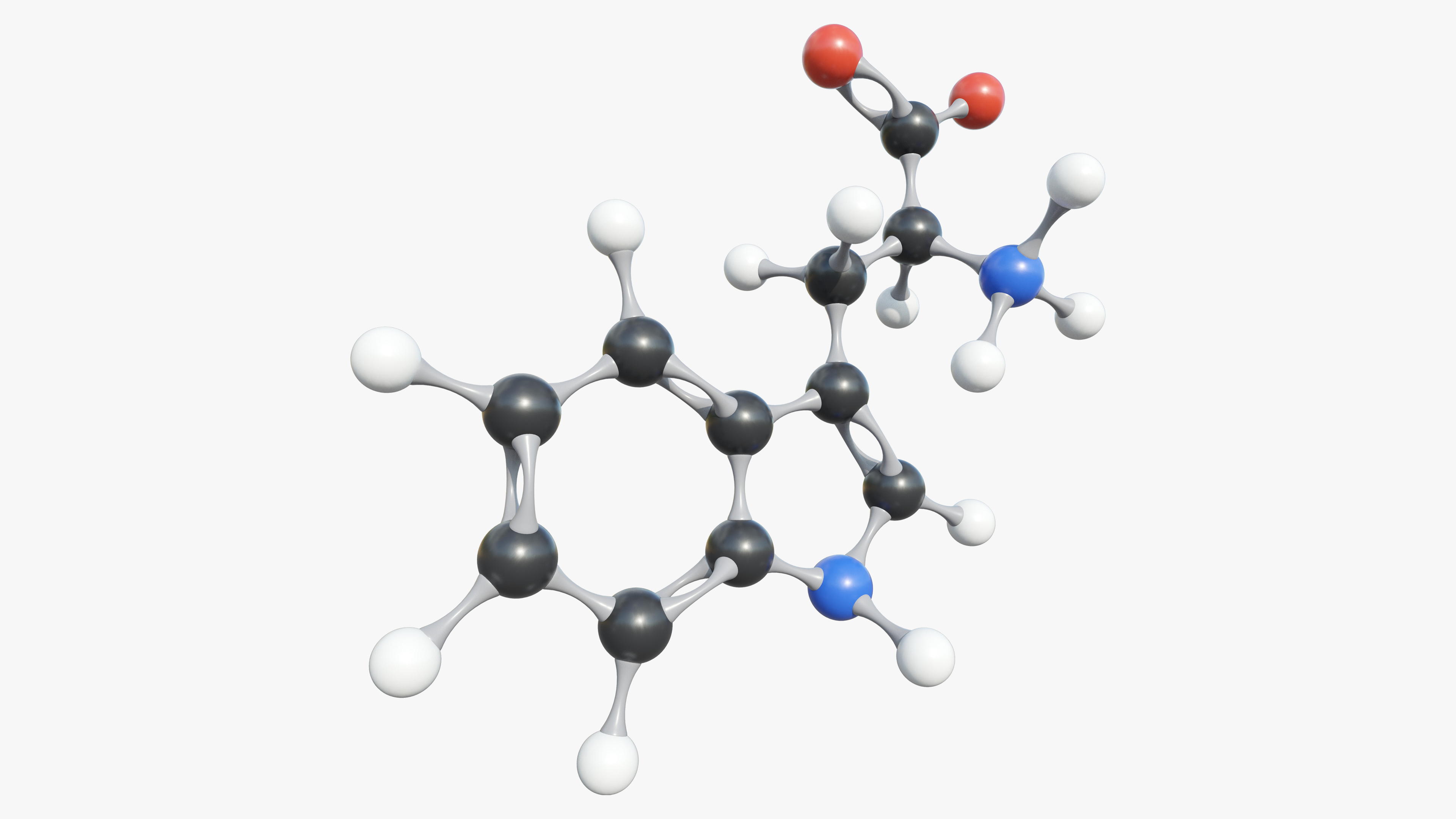 Tryptophan Zwitterion Molecule With PBR 4K 8K 3D - TurboSquid 1945648