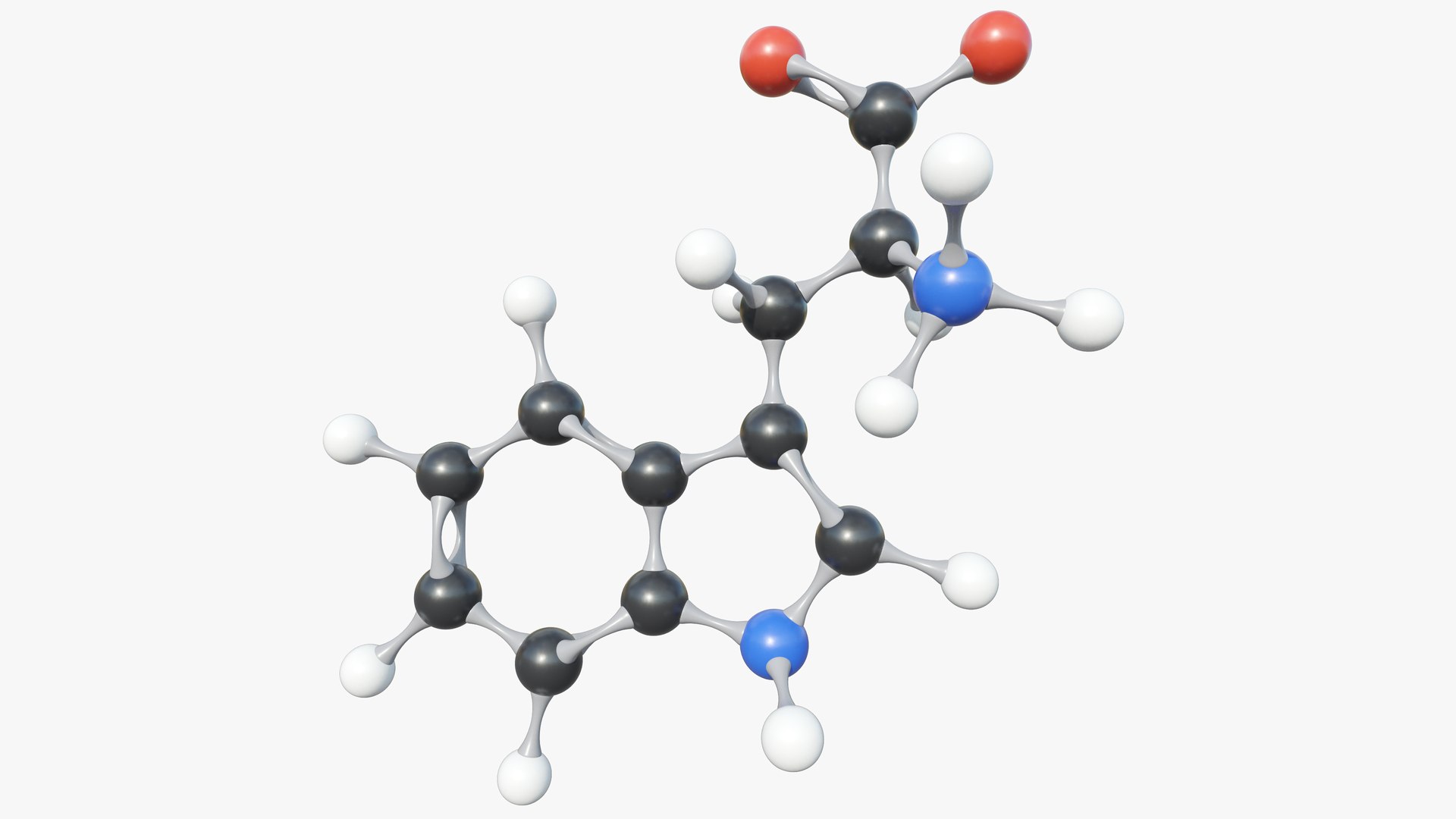 Tryptophan Zwitterion Molecule With PBR 4K 8K 3D - TurboSquid 1945648