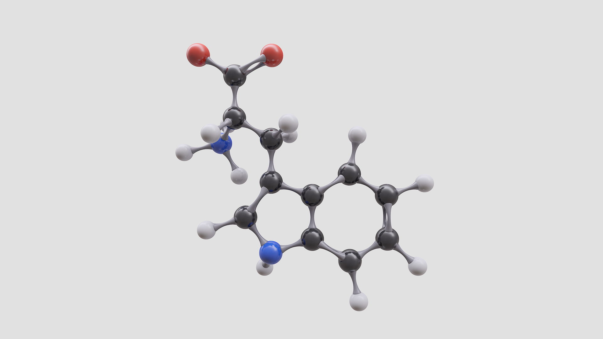 Tryptophan Zwitterion Molecule With PBR 4K 8K 3D - TurboSquid 1945648