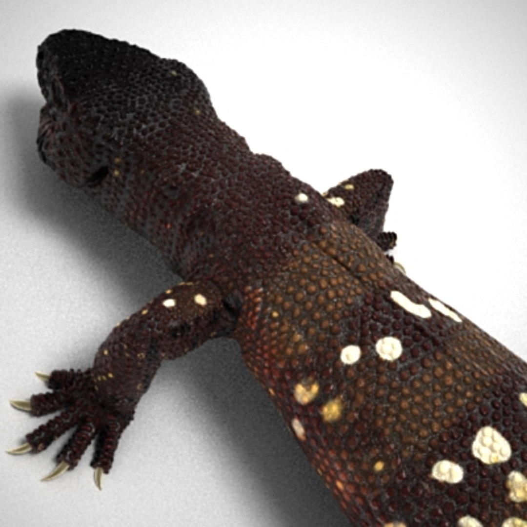 obj gila beaded lizard