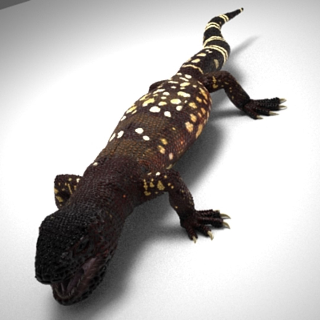 obj gila beaded lizard