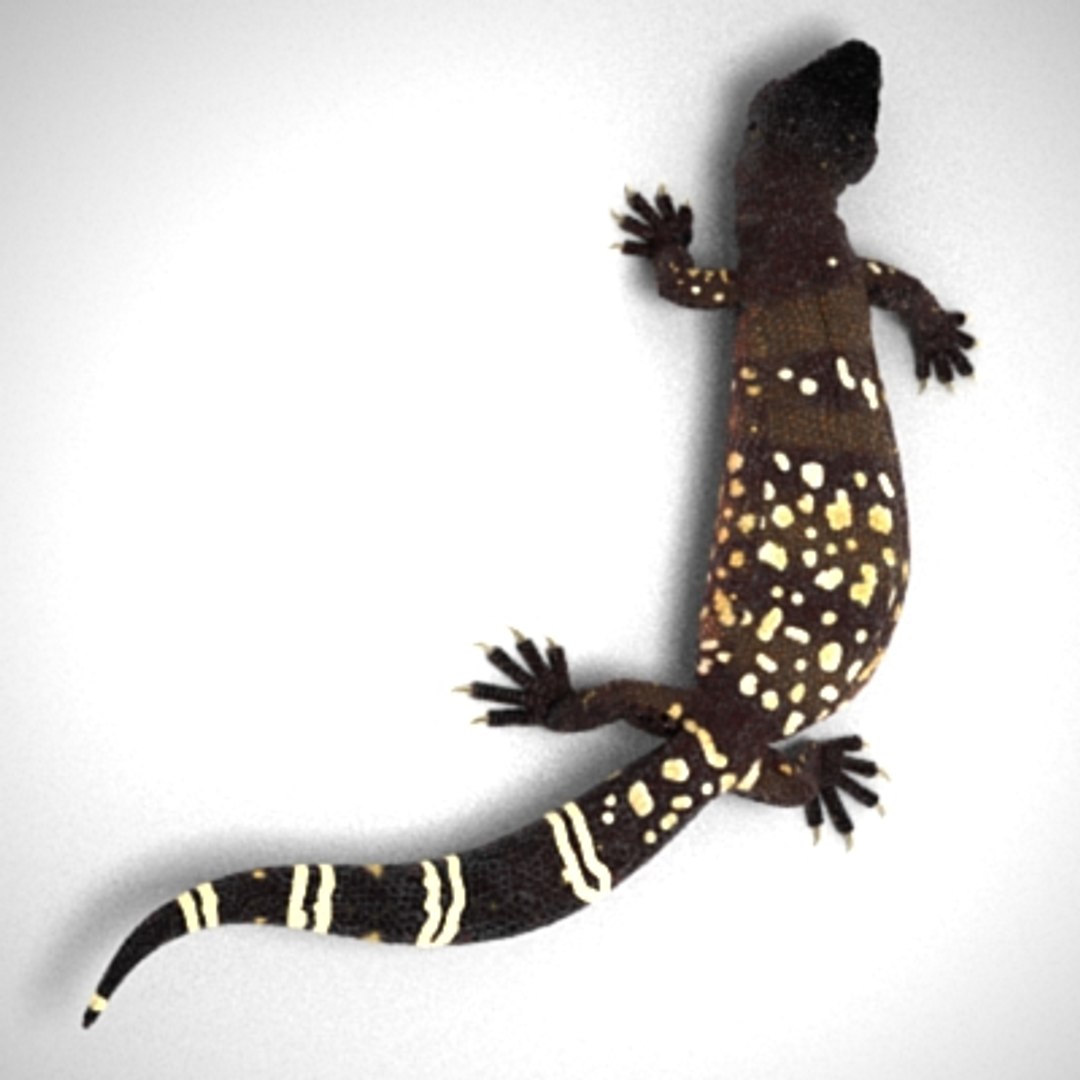 obj gila beaded lizard