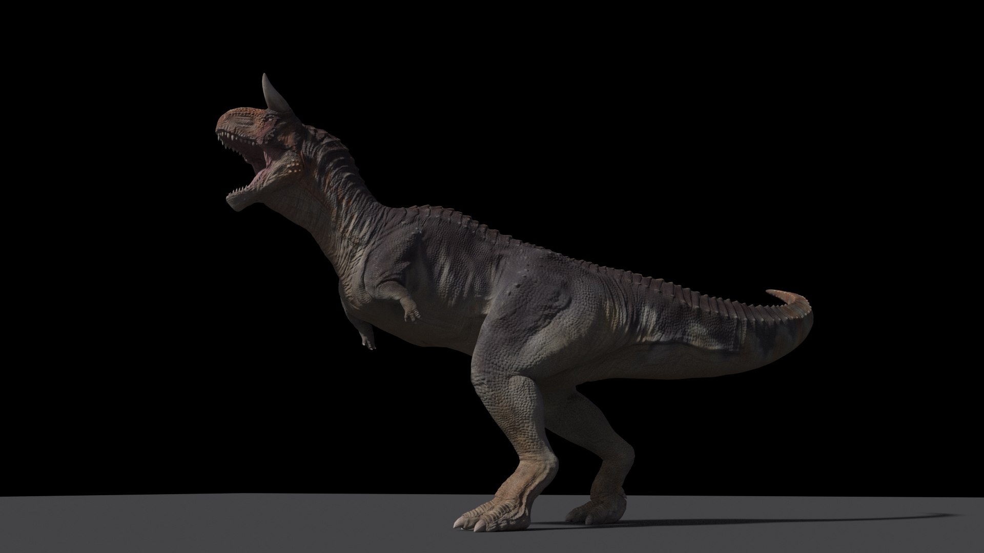 Carnotaurus Rig Dinosaur 3D Model - TurboSquid 1195503