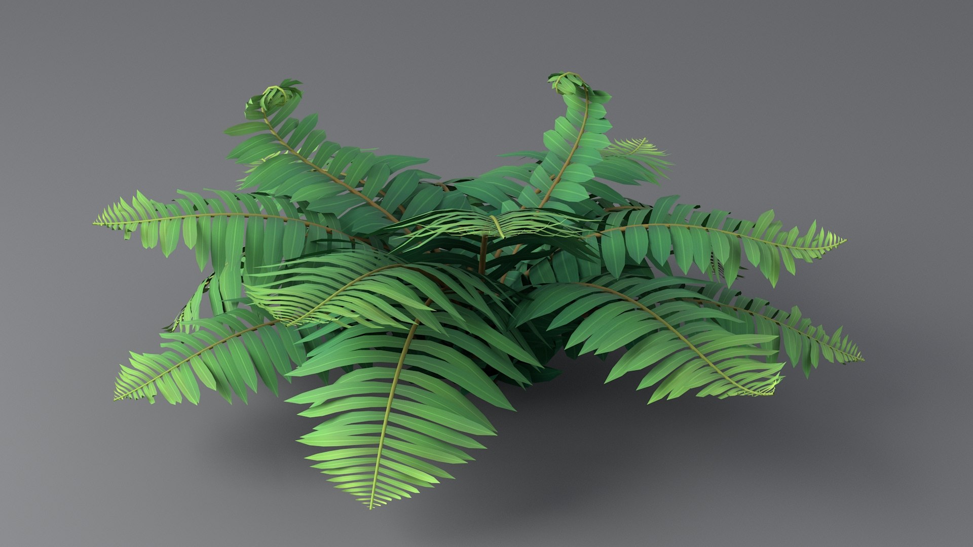 Cartoon Fern 03 3D Model - TurboSquid 1938331