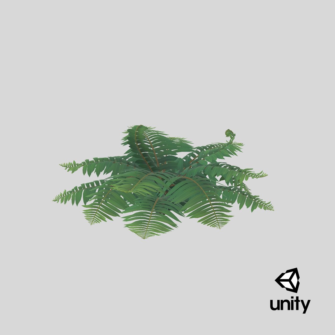 Cartoon Fern 03 3D Model - TurboSquid 1938331