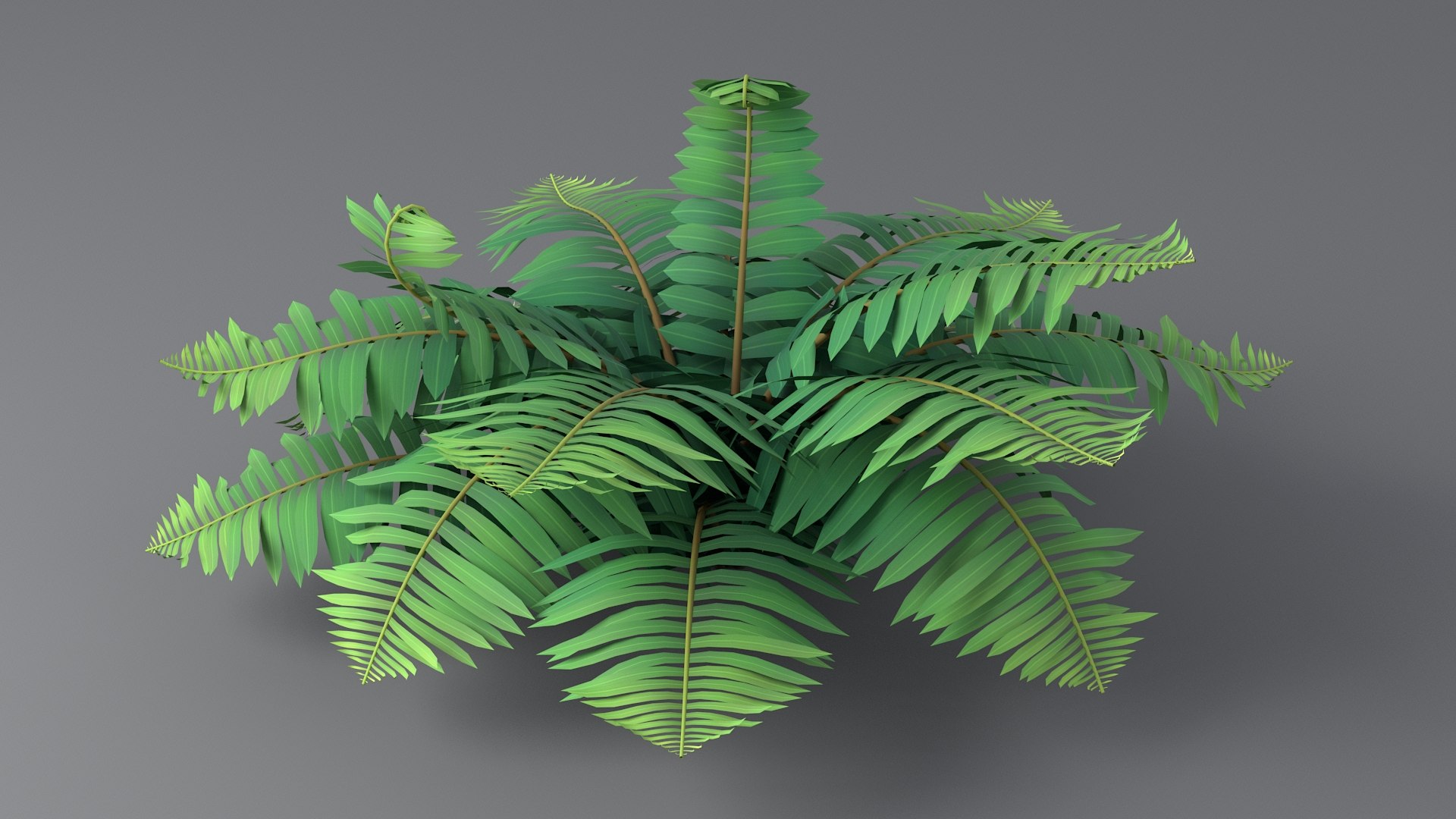 Cartoon Fern 03 3D Model - TurboSquid 1938331