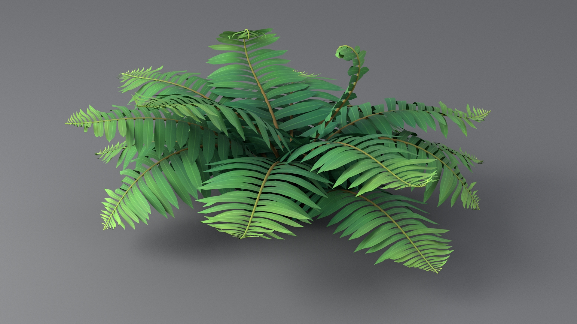 Cartoon Fern 03 3D Model - TurboSquid 1938331