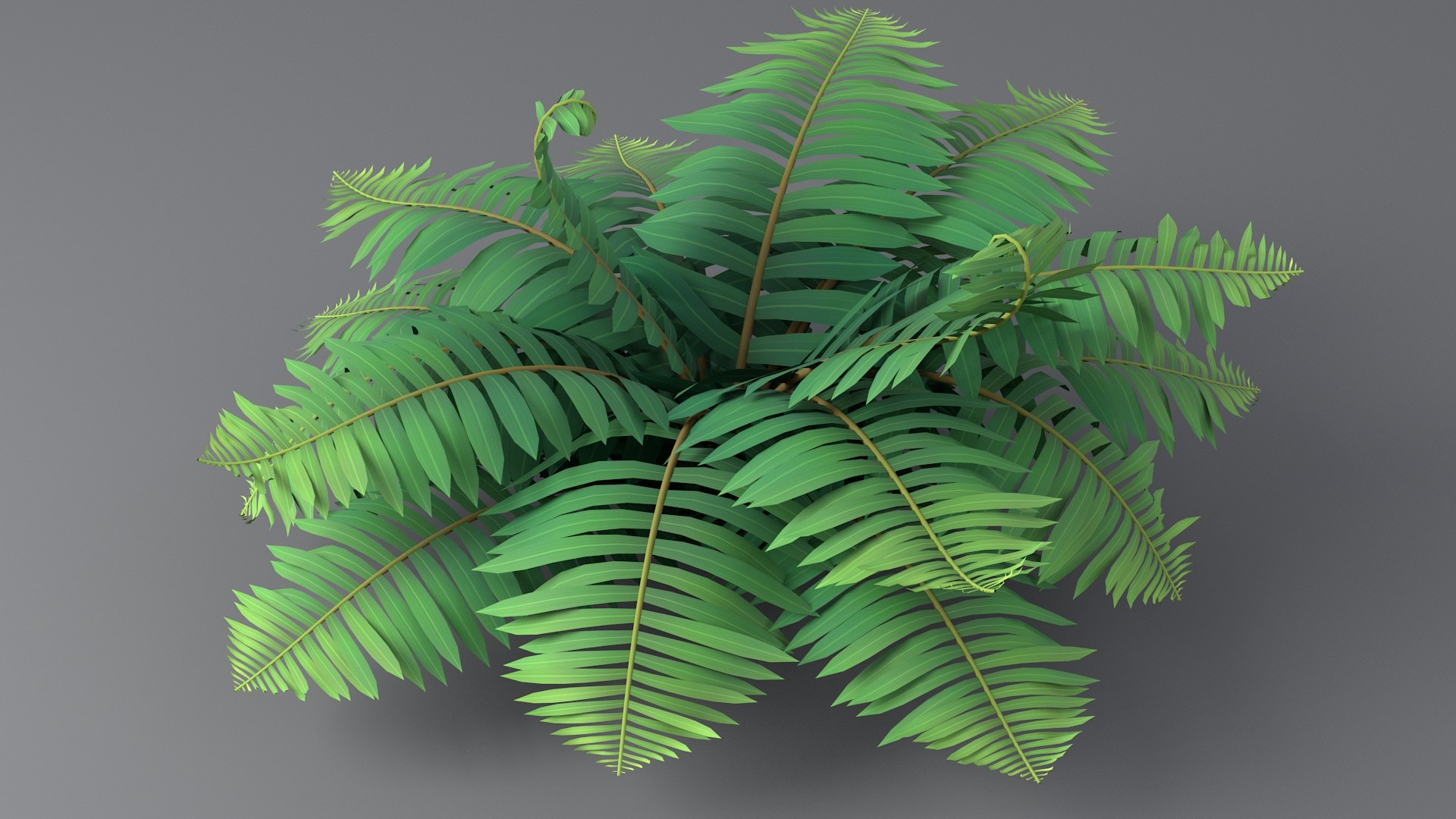 Cartoon Fern 03 3D Model - TurboSquid 1938331