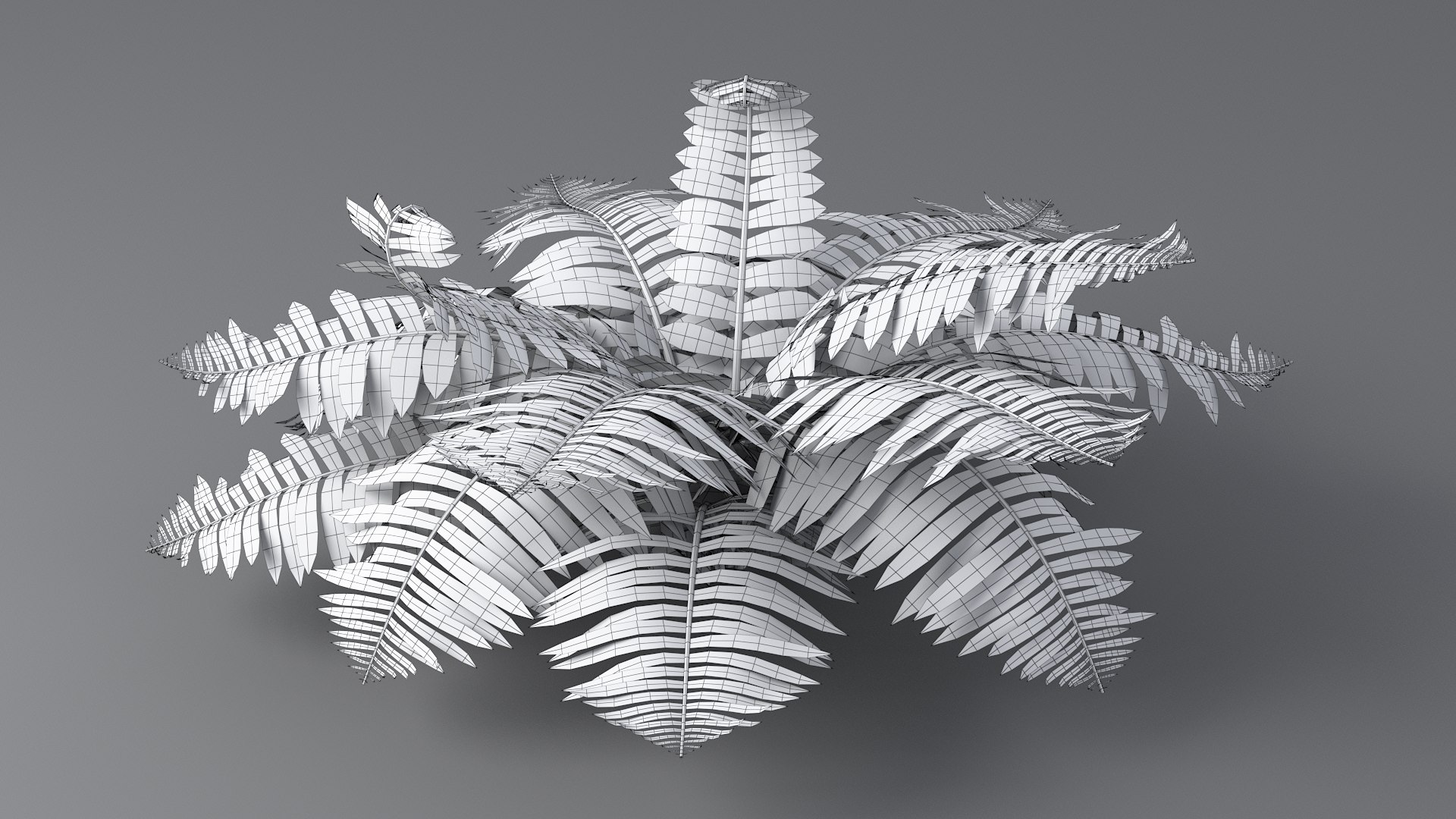 Cartoon Fern 03 3D Model - TurboSquid 1938331