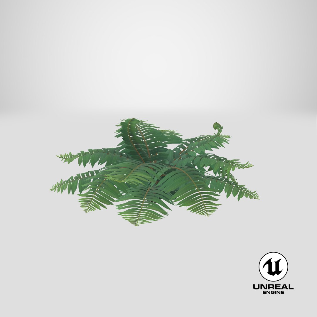 Cartoon Fern 03 3D Model - TurboSquid 1938331