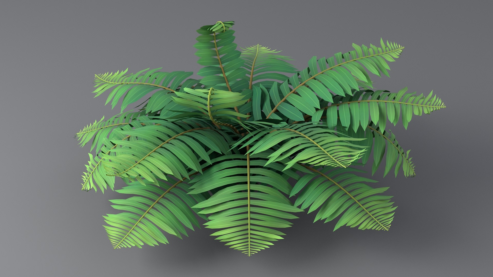 Cartoon Fern 03 3D Model - TurboSquid 1938331