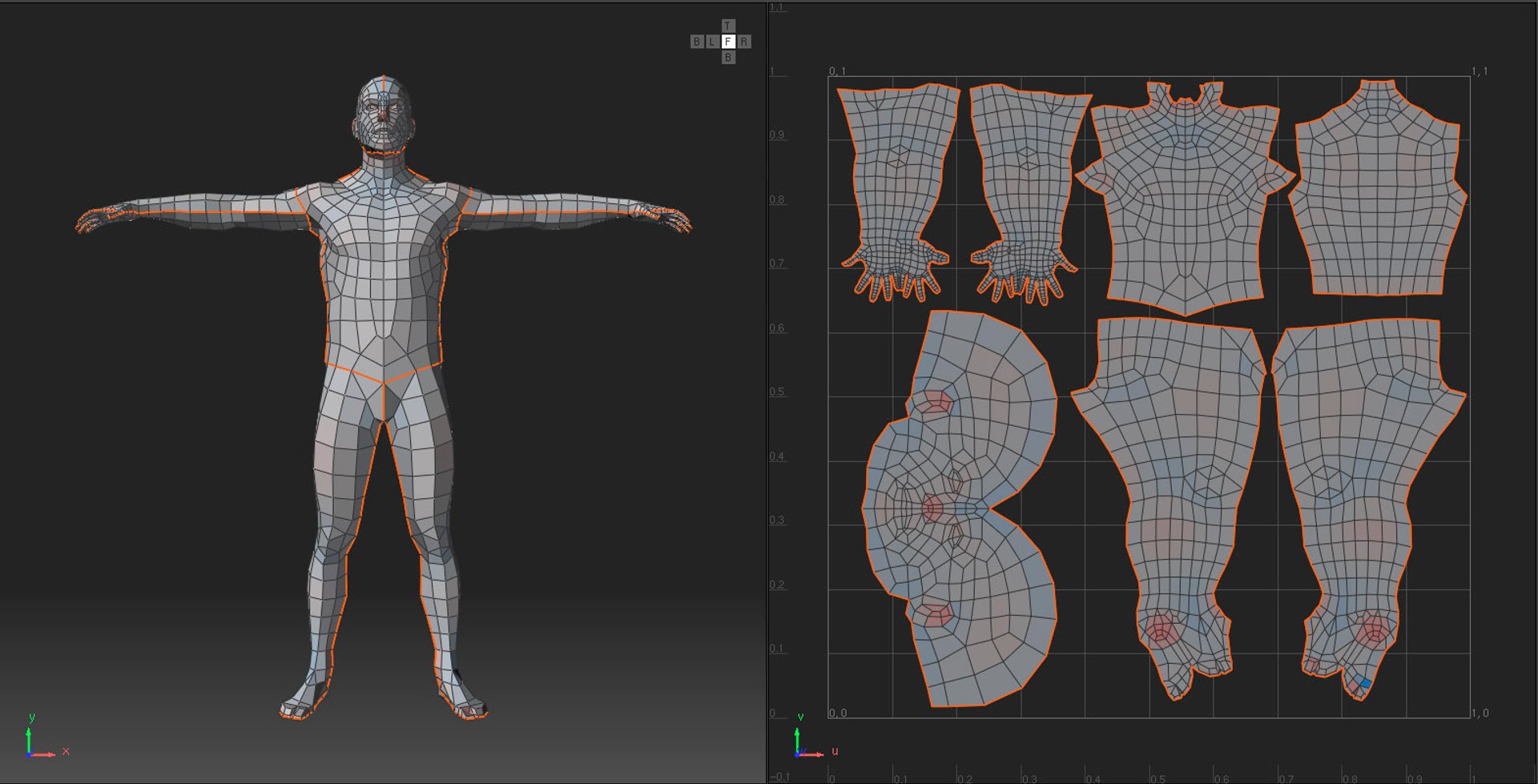 Anatomically Correct 3d Obj