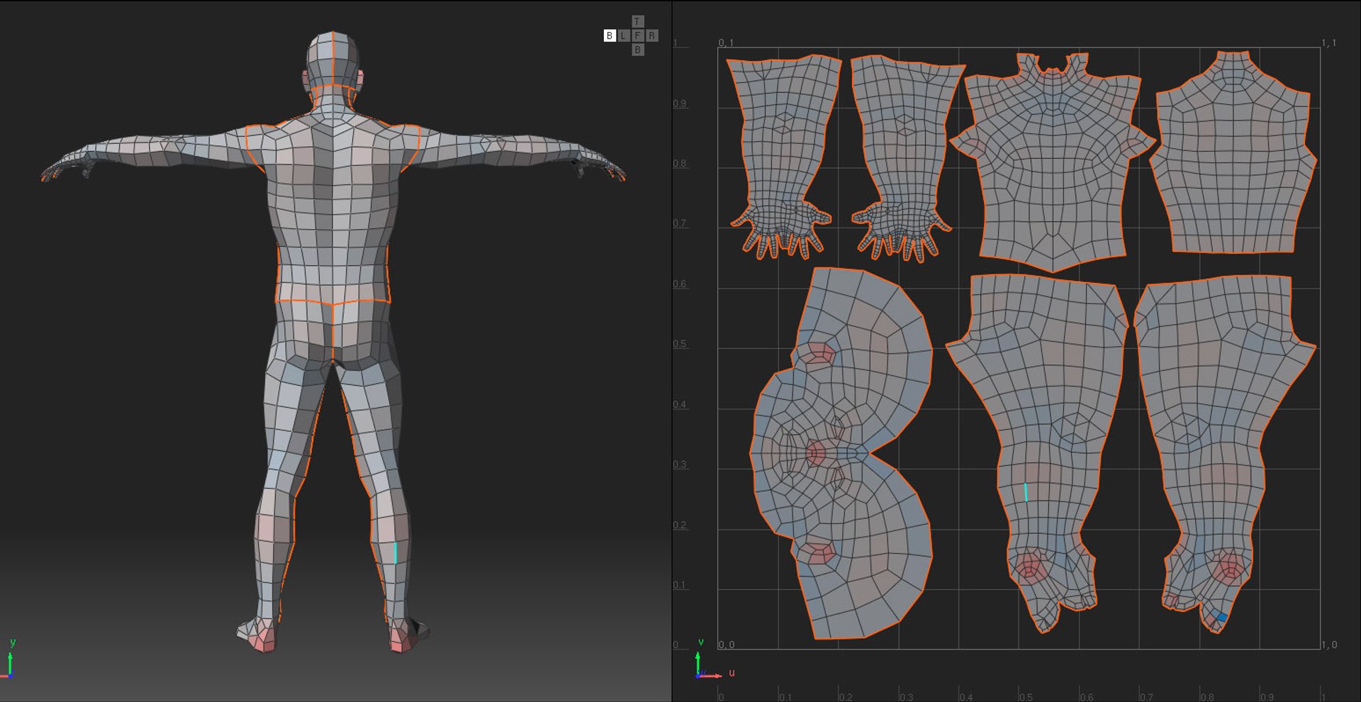 Anatomically Correct 3d Obj