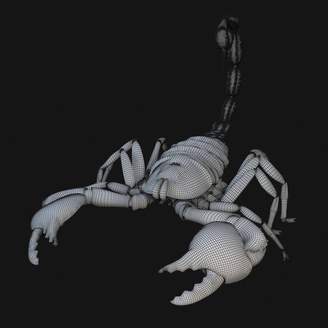 3D Scorpion Black - TurboSquid 1330534