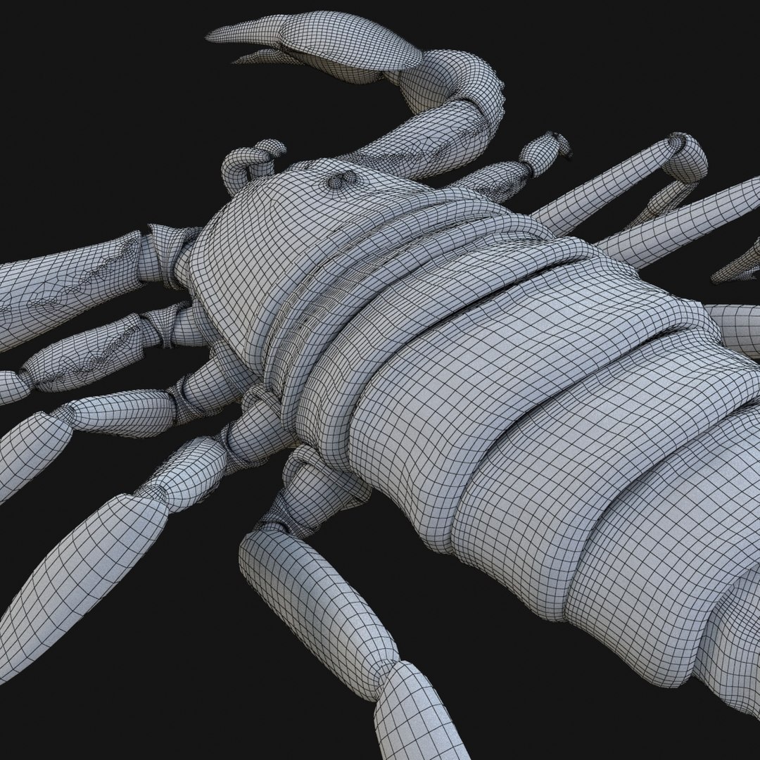 3D Scorpion Black - TurboSquid 1330534