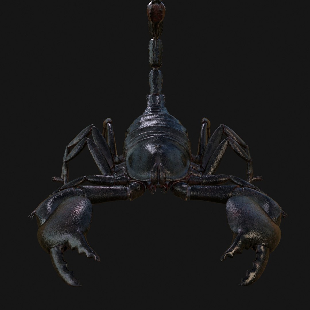 3D Scorpion Black - TurboSquid 1330534