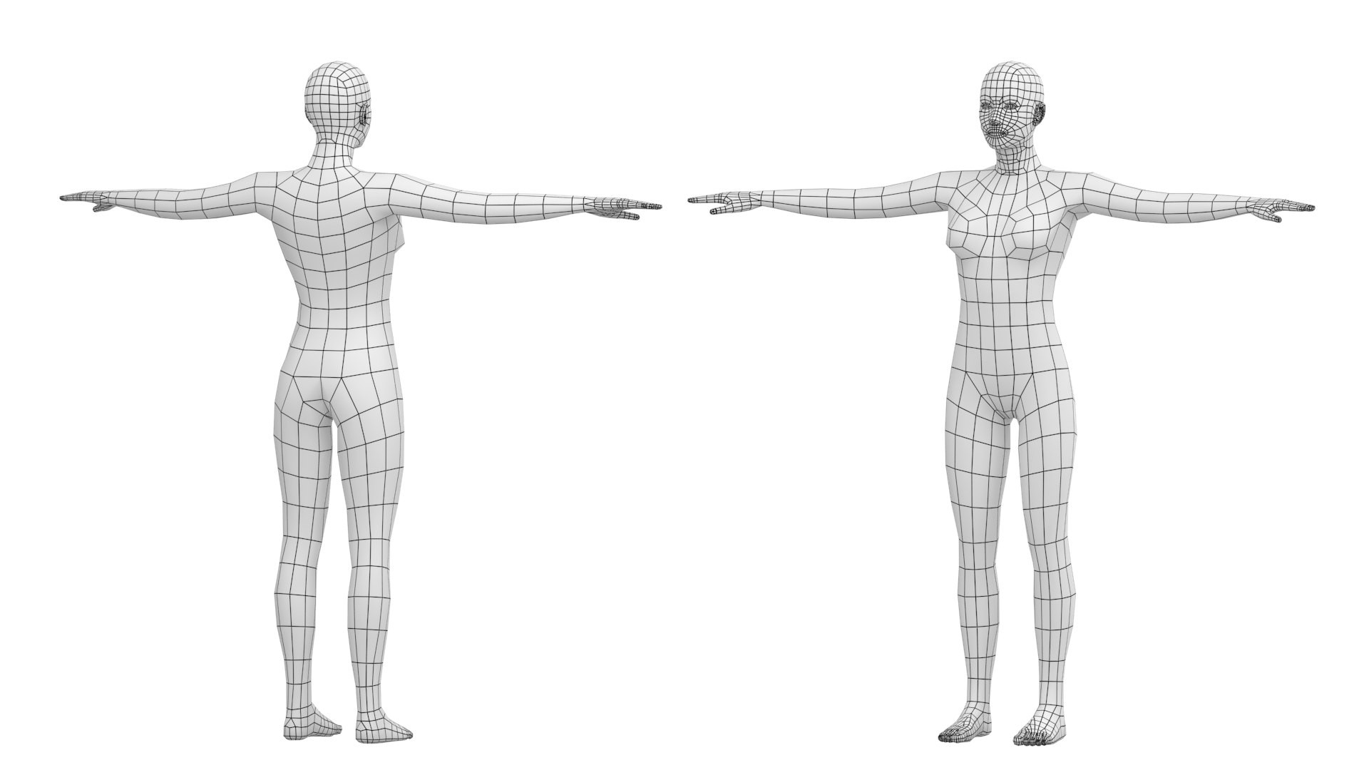3D Natural Female In 6 Modeling Poses COLLECTION Model - TurboSquid 2218952