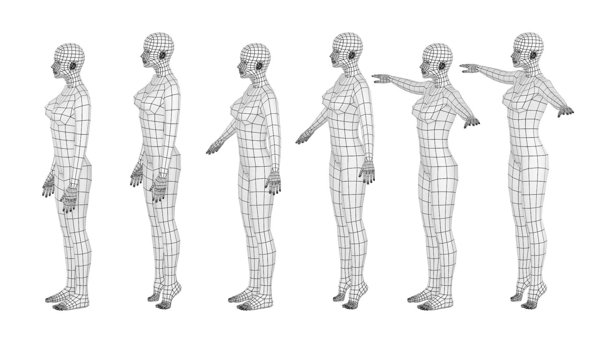 3D Natural Female In 6 Modeling Poses COLLECTION Model - TurboSquid 2218952