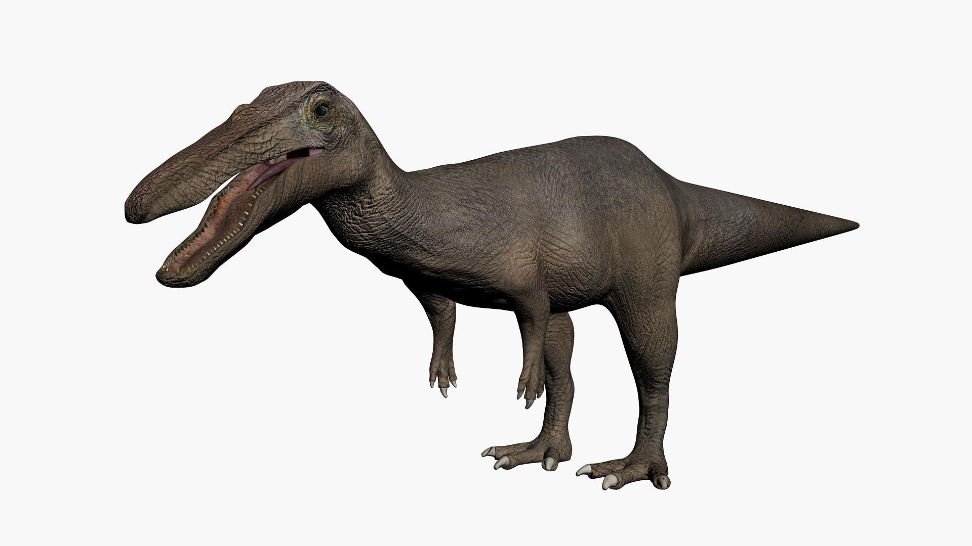 Riparovenator 3D Model - TurboSquid 2216734