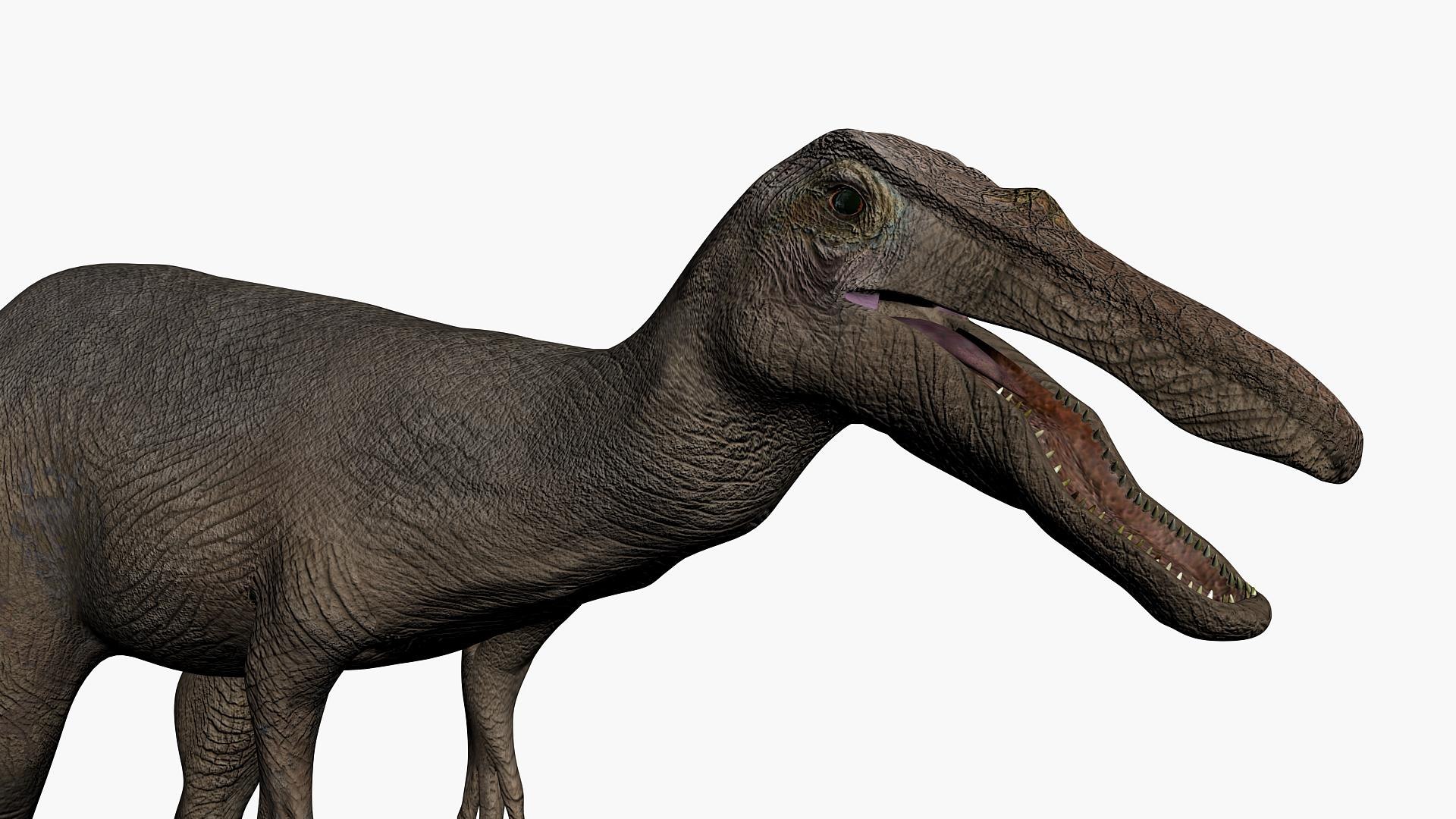 Riparovenator 3D Model - TurboSquid 2216734