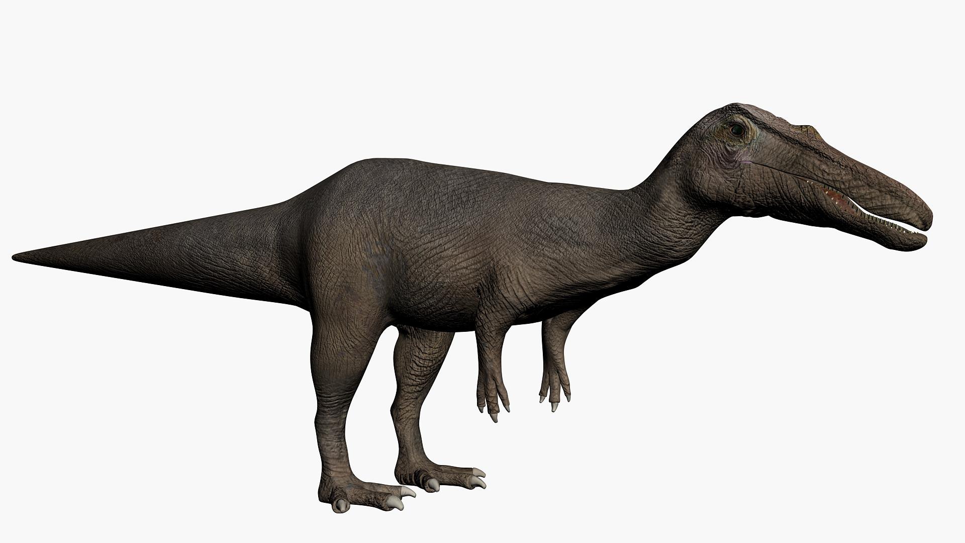 Riparovenator 3D Model - TurboSquid 2216734