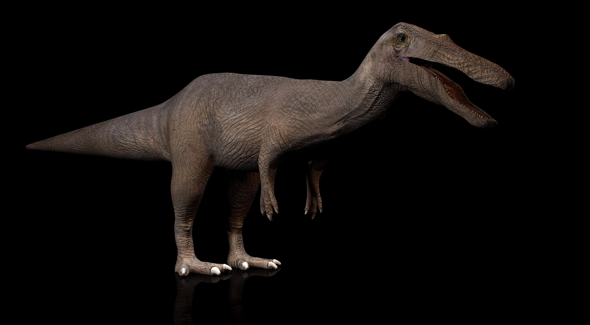 Riparovenator 3D Model - TurboSquid 2216734