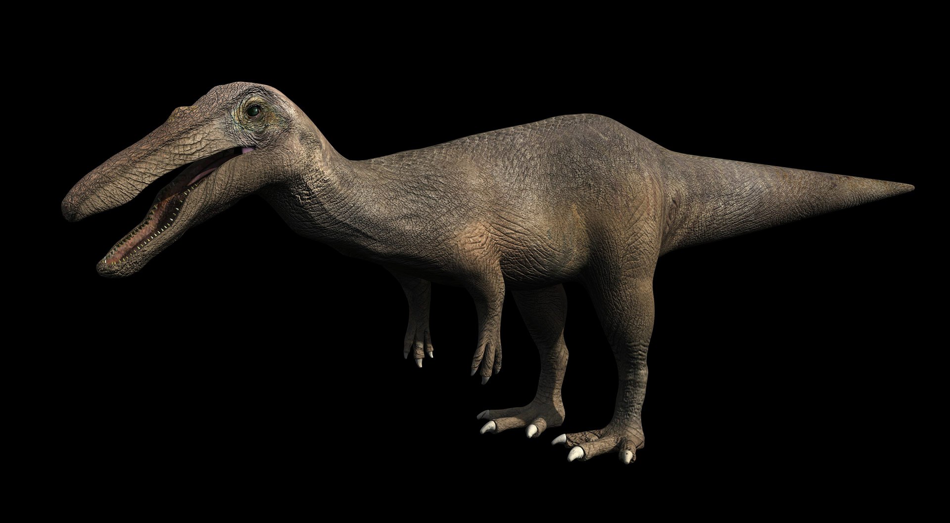 Riparovenator 3D Model - TurboSquid 2216734