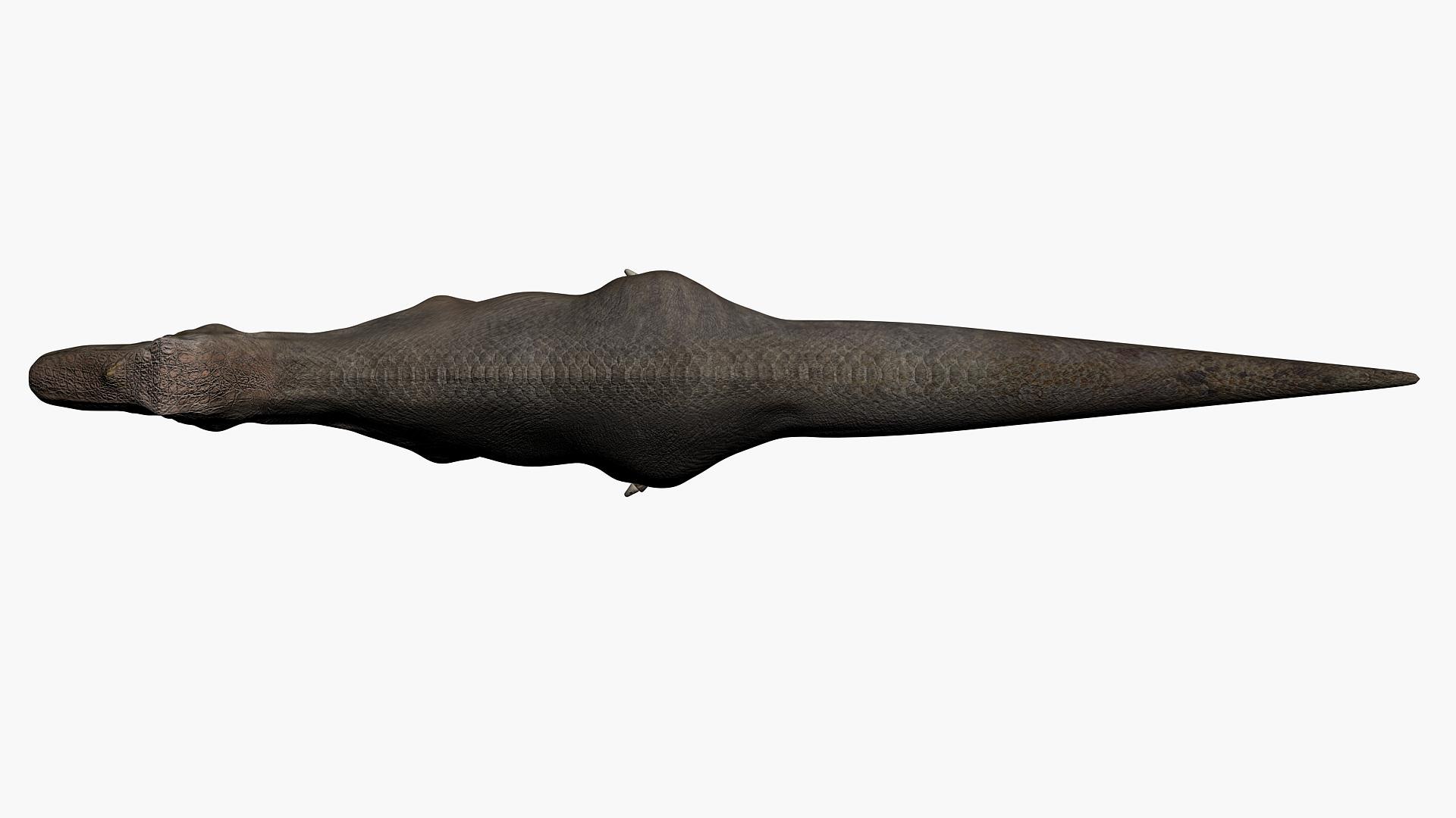 Riparovenator 3D Model - TurboSquid 2216734