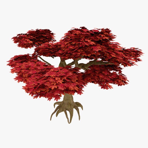 Red Maple 3D Models for Download | TurboSquid