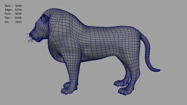 3d lion big cats