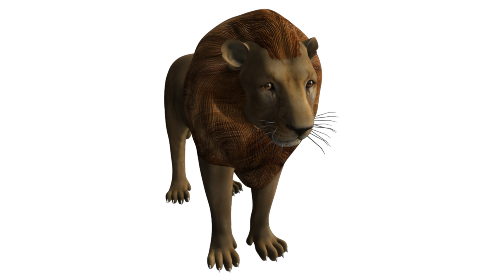 3d lion big cats
