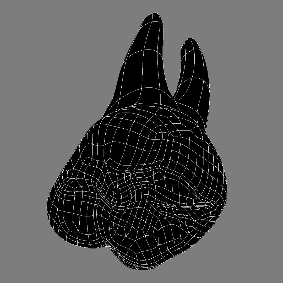 Tooth Upper Molar 3d Model