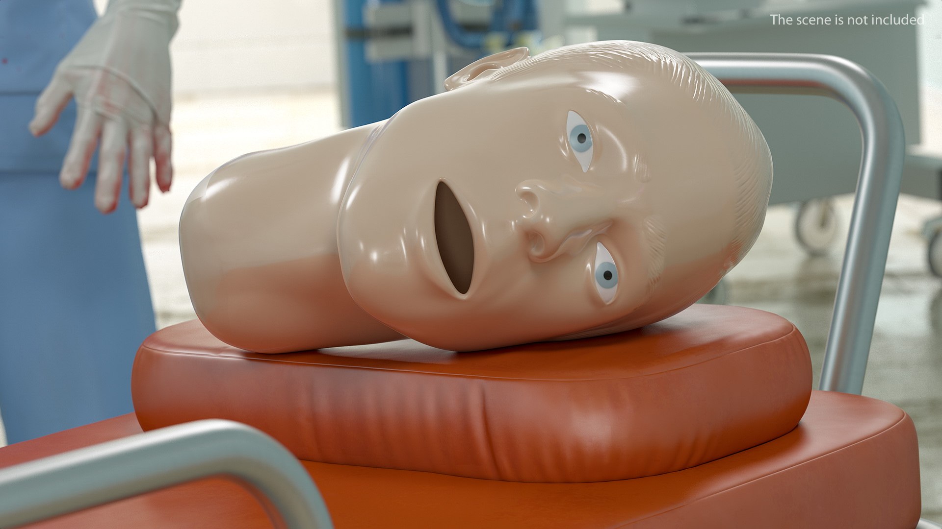 3D Manikin Head Model - TurboSquid 1487441