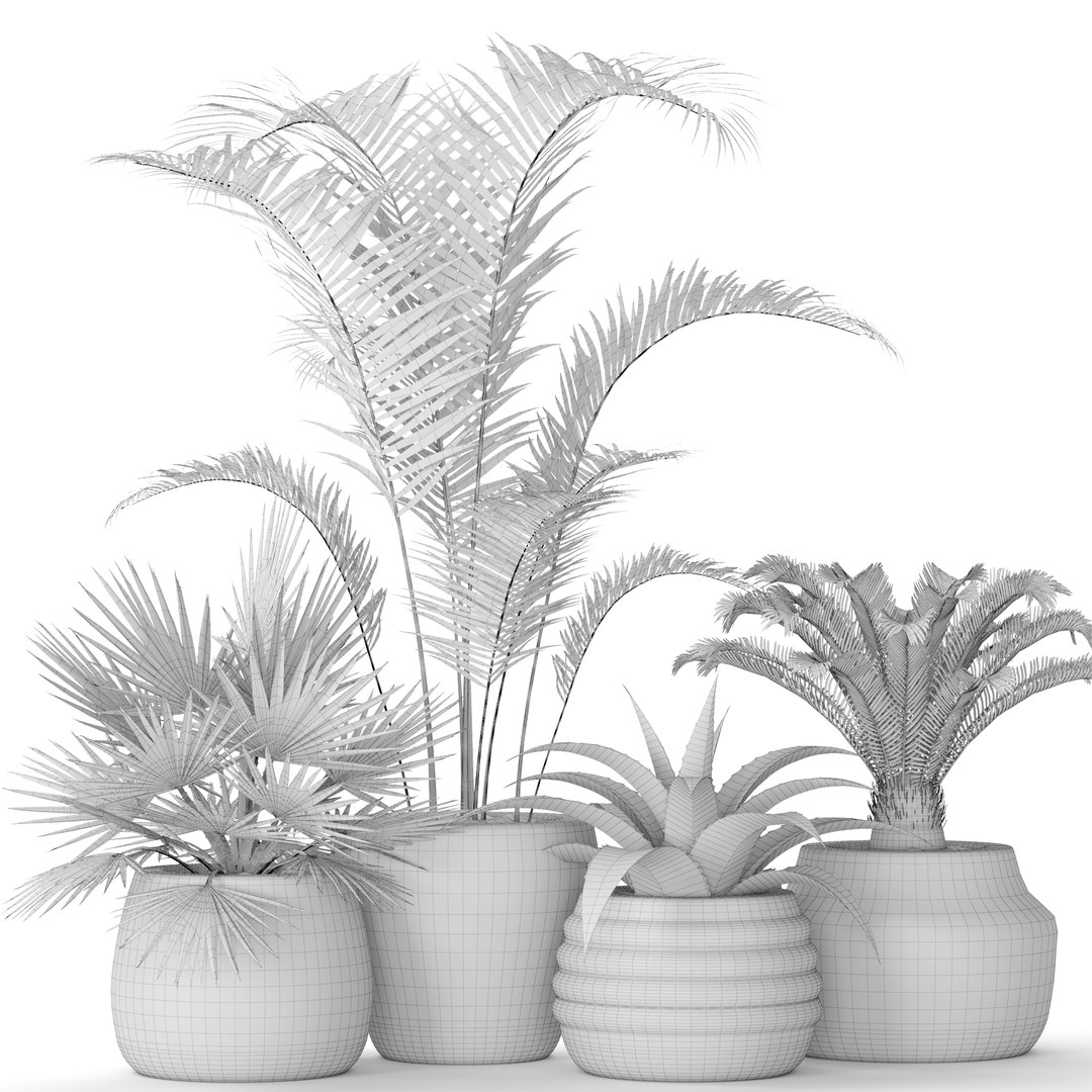 3d plants model