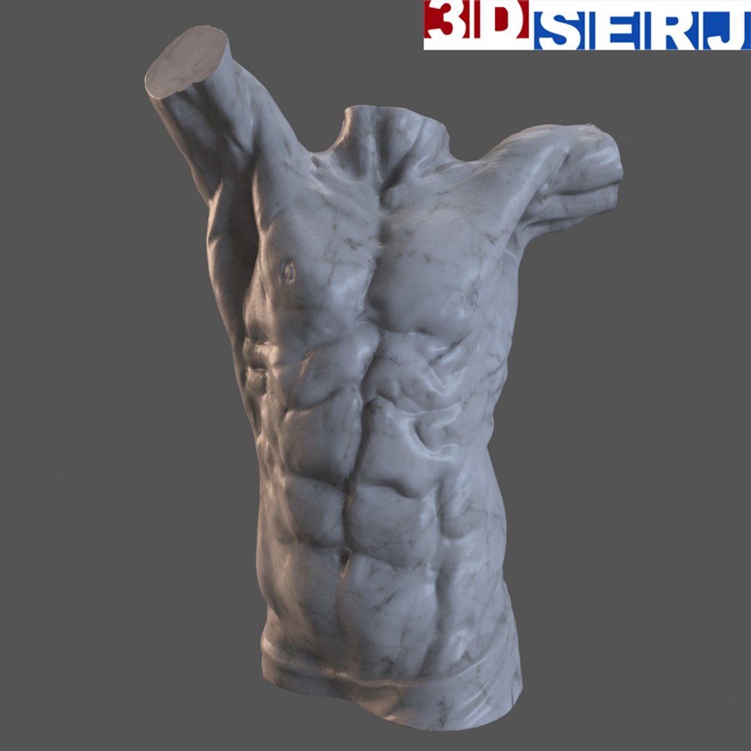 3d Decorative Bust Man Model