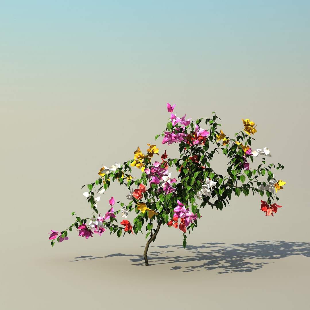Plant Flower 3d Model