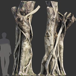 3D Megascans Models - Browse & Download Formats - TurboSquid