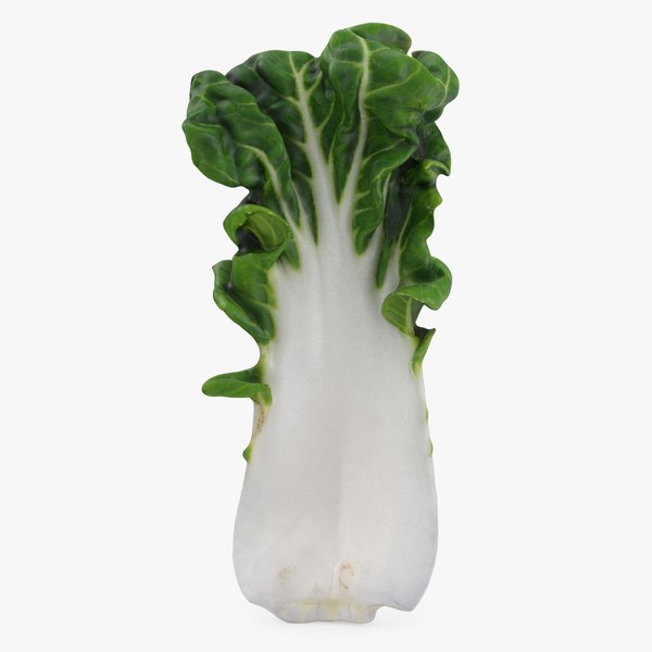 modelo 3d Hoja de Bok Choy blanca 01 - TurboSquid 2172334