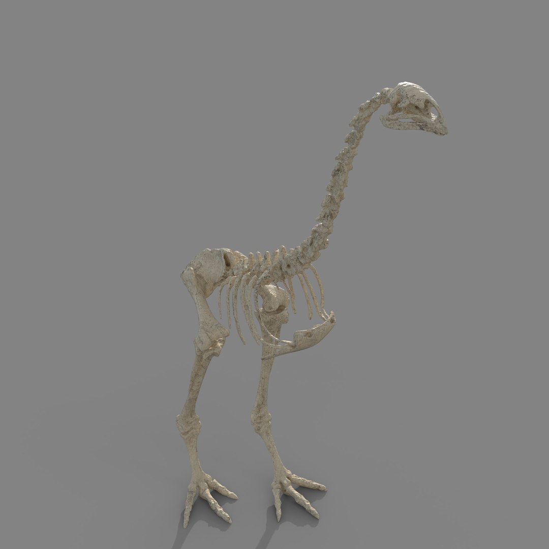 3D Dinosaur Fossil Model - TurboSquid 2246225