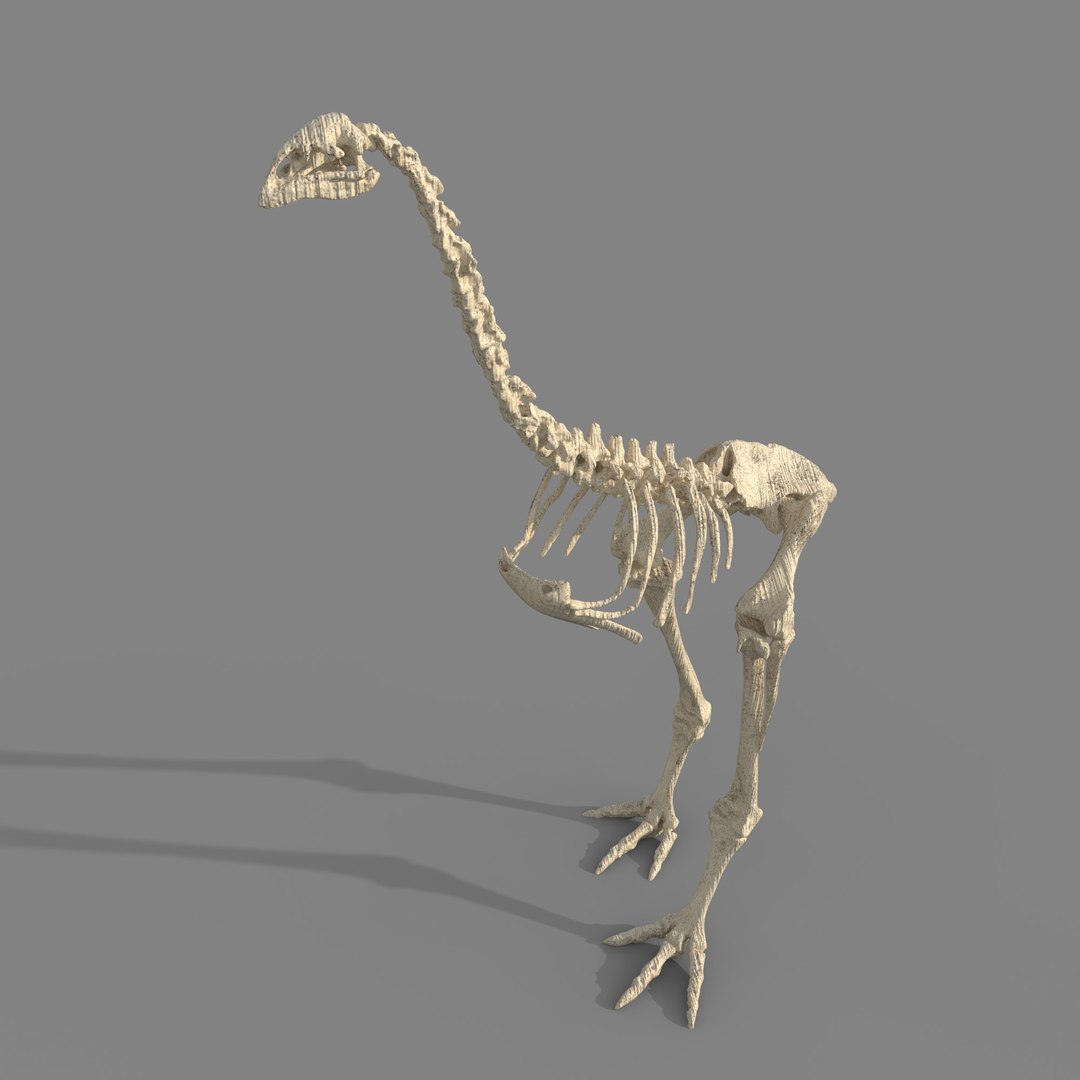 3D Dinosaur Fossil Model - TurboSquid 2246225