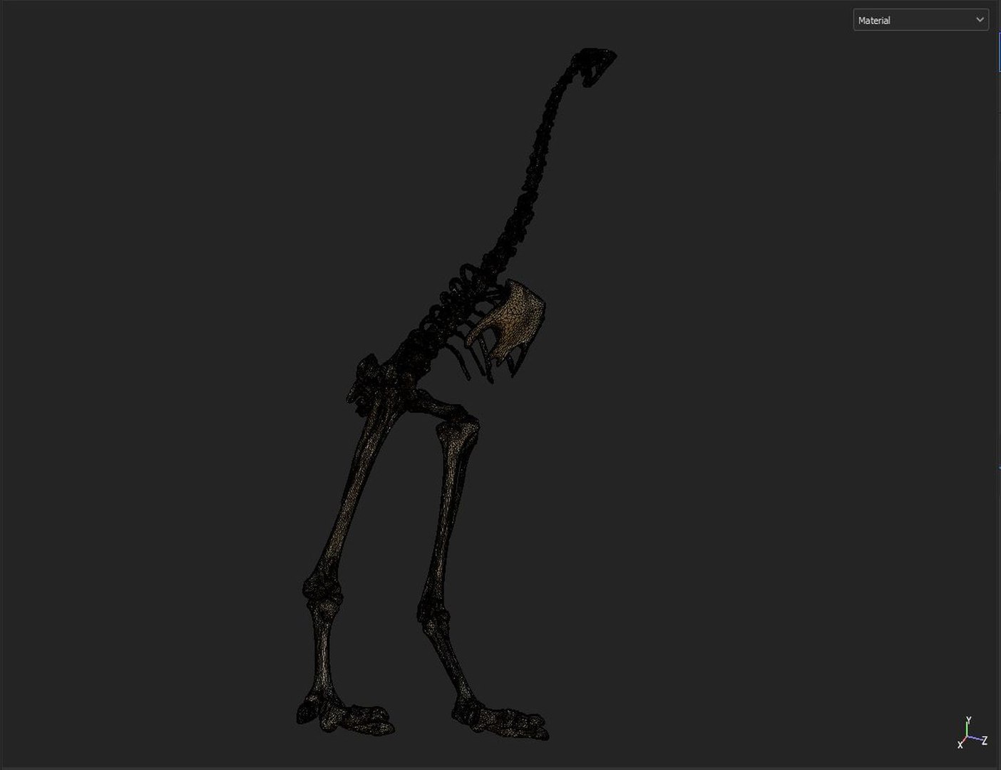3D Dinosaur Fossil Model - TurboSquid 2246225