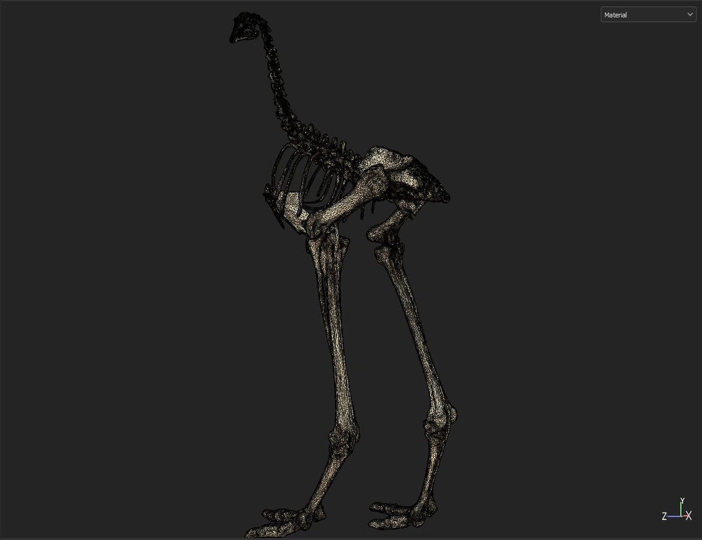 3D Dinosaur Fossil Model - TurboSquid 2246225